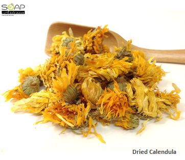 Calendula Dried Flowers 干燥金盞花
