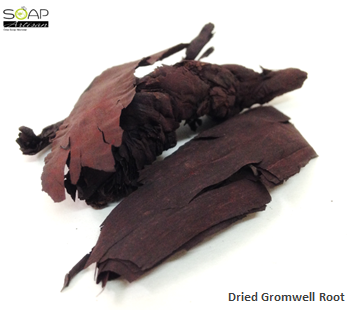 Gromwell Root 紫草根